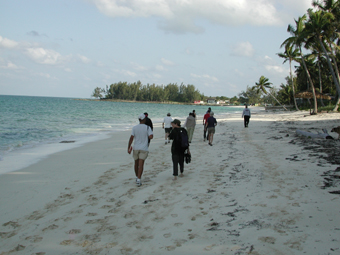 Bahamas Field Seminar