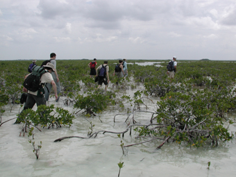 Bahamas Field Seminar